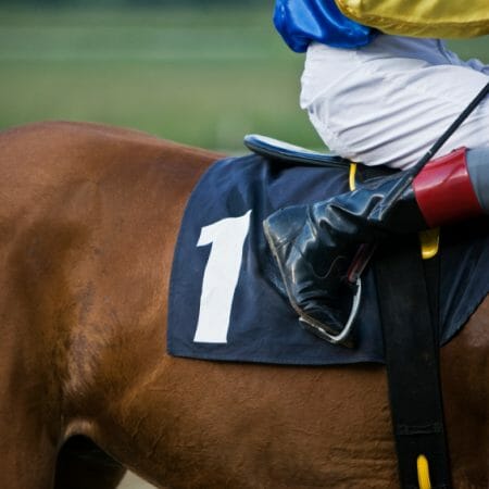 The Gastrointestinal Tract: The Key to Feeding Your Horse