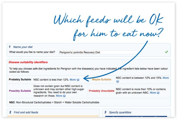 Tools for Precision Nutrition