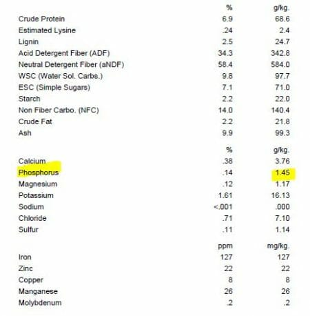 How to Make Sense of Pasture Analysis Results