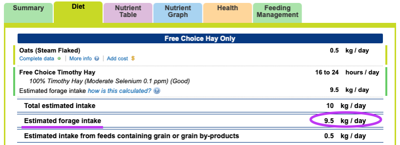 Why Forage Is the Most Important Part of Your Horse’s Diet