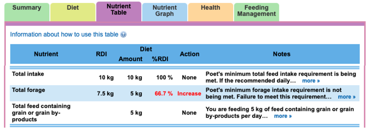 Why Forage Is the Most Important Part of Your Horse’s Diet